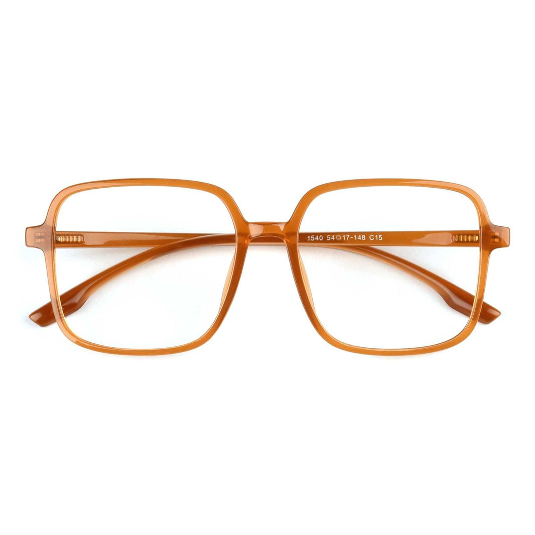 Stylish Prescription Eyeglasses Sllac